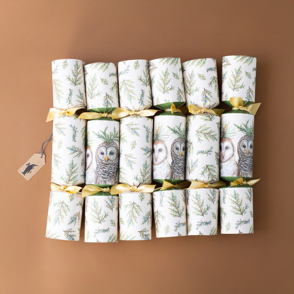 Eco-Friendly Christmas Crackers | Winter Owls