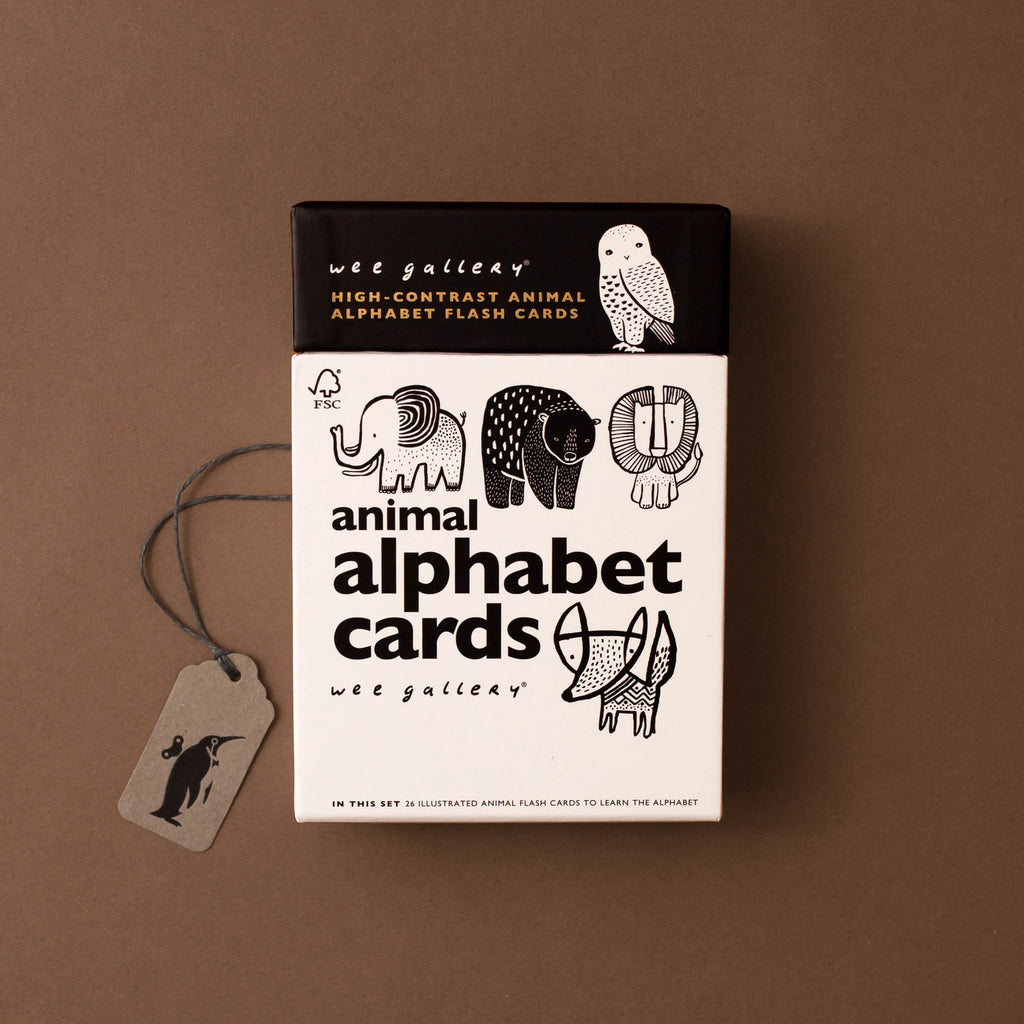 Alphabet Cards | Animal