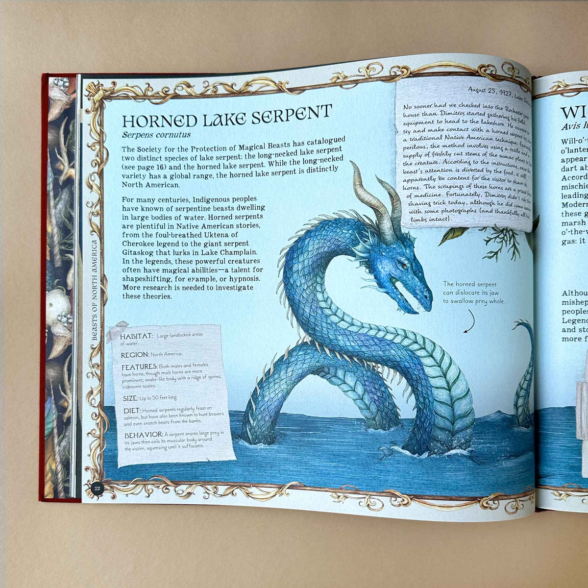 A Natural History of Magical Beasts Book – pucciManuli