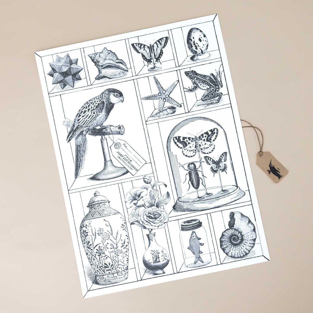 Color Your Own Engraving | Curiosities