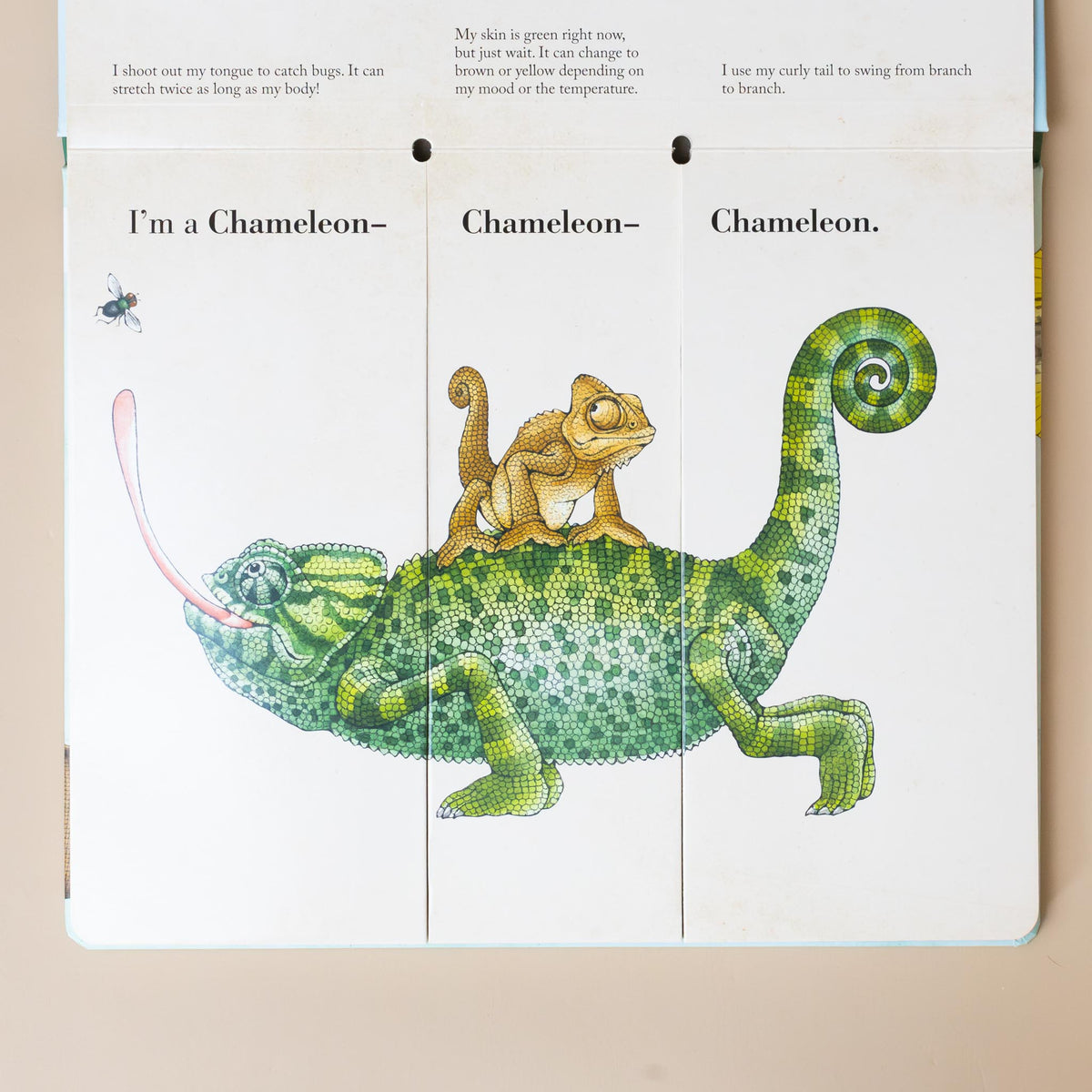 Flip-A-Gator Flip & Flop Book – pucciManuli