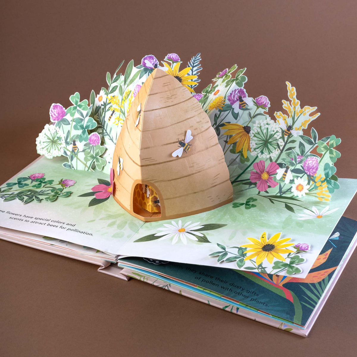 Flora | A Botanical Pop-Up Book – pucciManuli