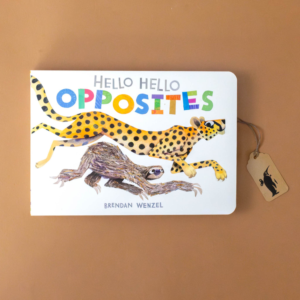 Hello Hello Board Book | Opposites