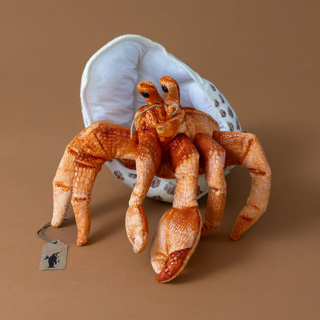 Henry the Hermit Crab Hand Puppet