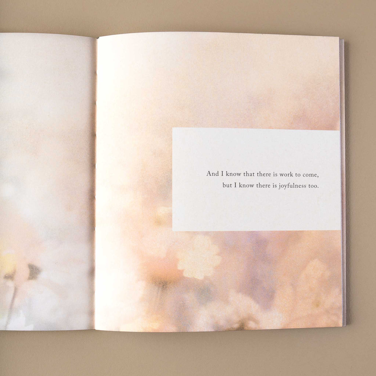In Case You Forget, I Remember Book – pucciManuli