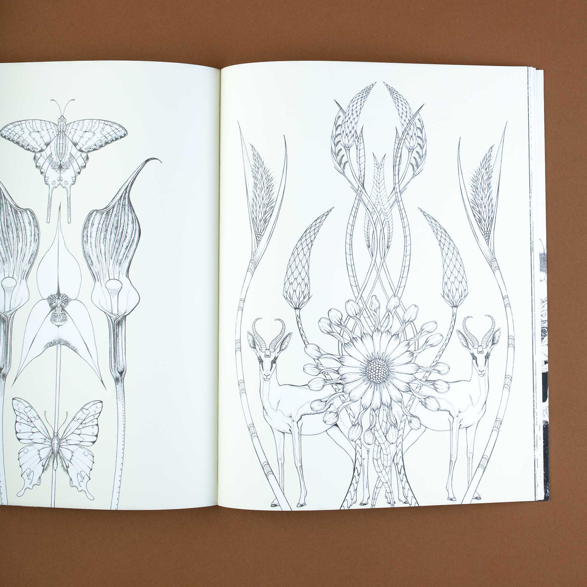 Into The Wild Coloring Book – pucciManuli