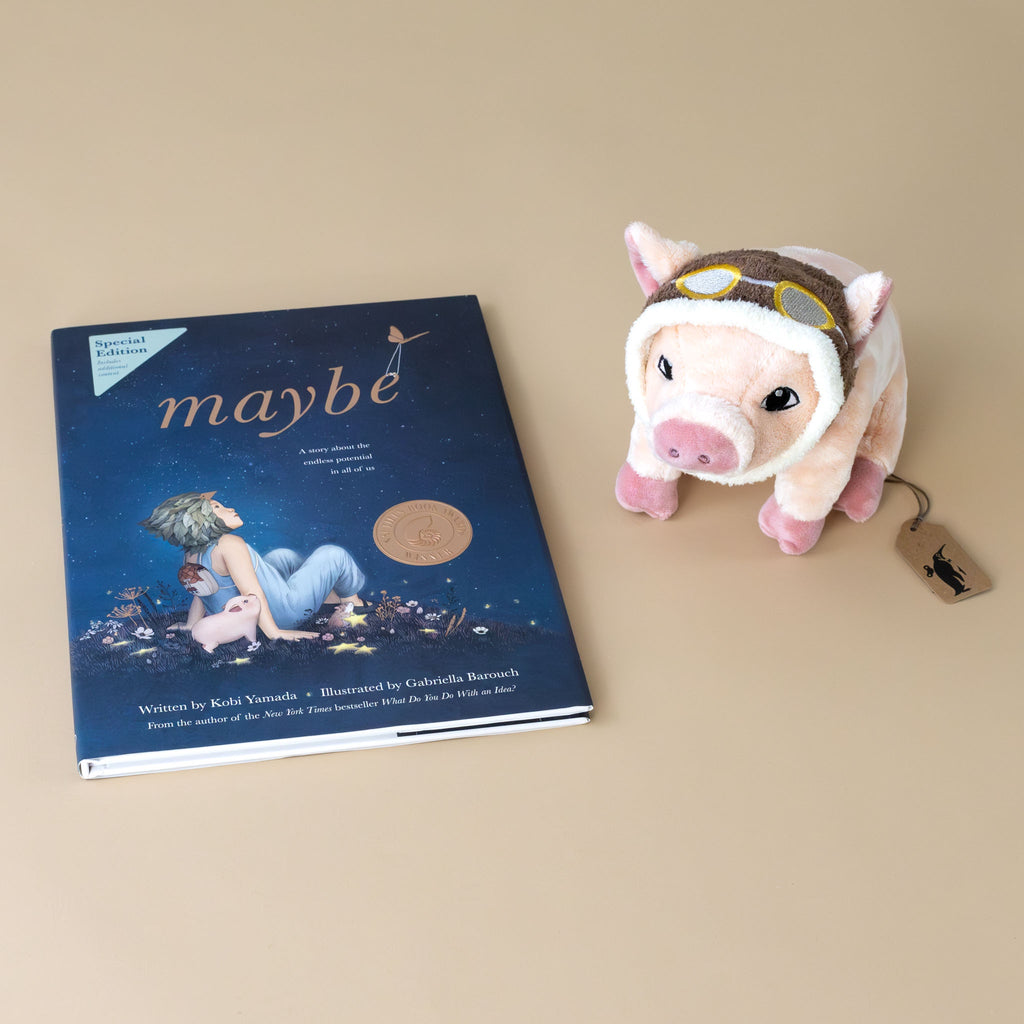 Maybe Book Gift Set