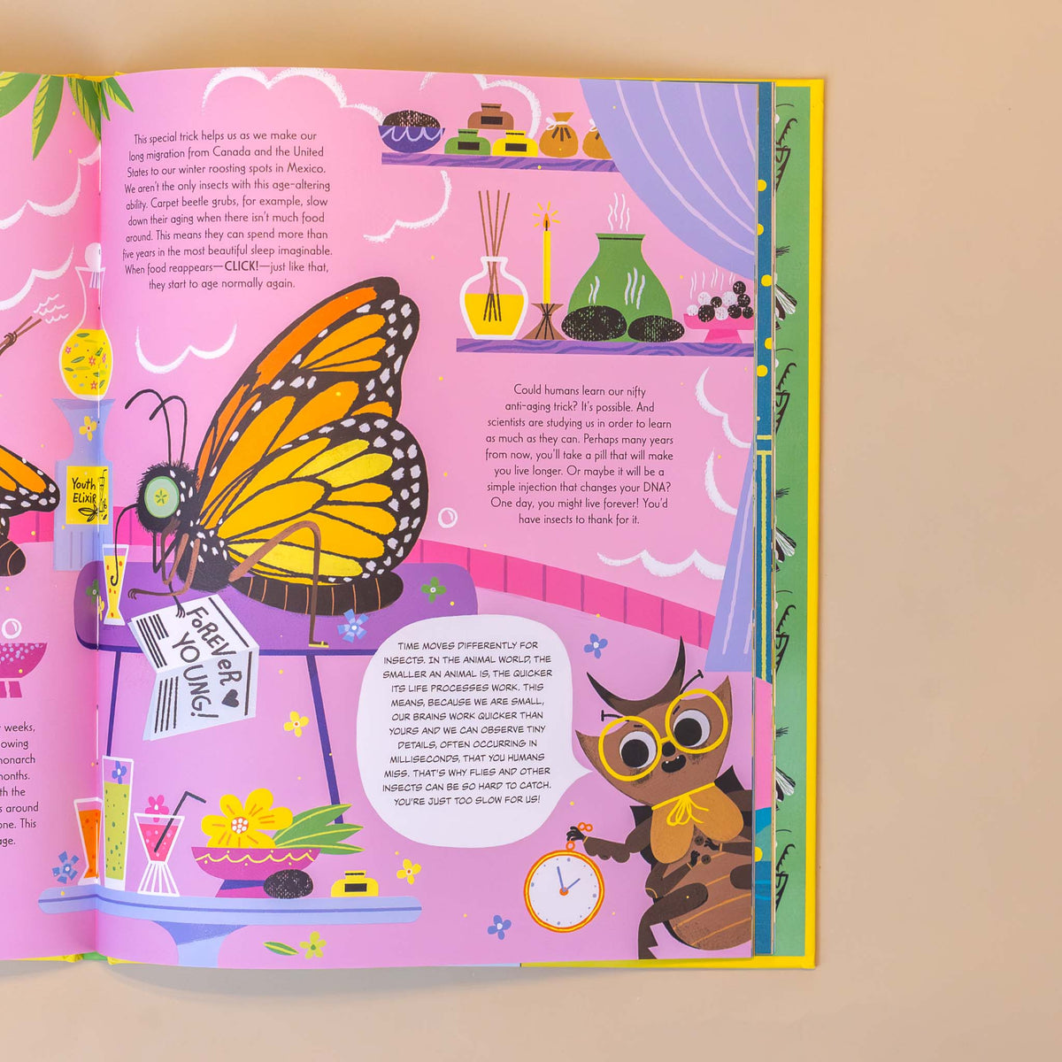 Respect the Insect Book – pucciManuli