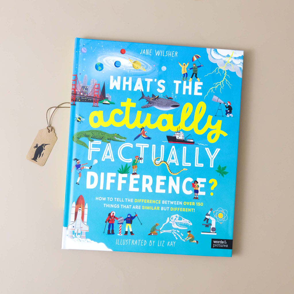 What's the Actually Factually Difference? Book