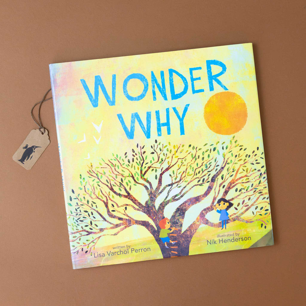 Wonder Why Book