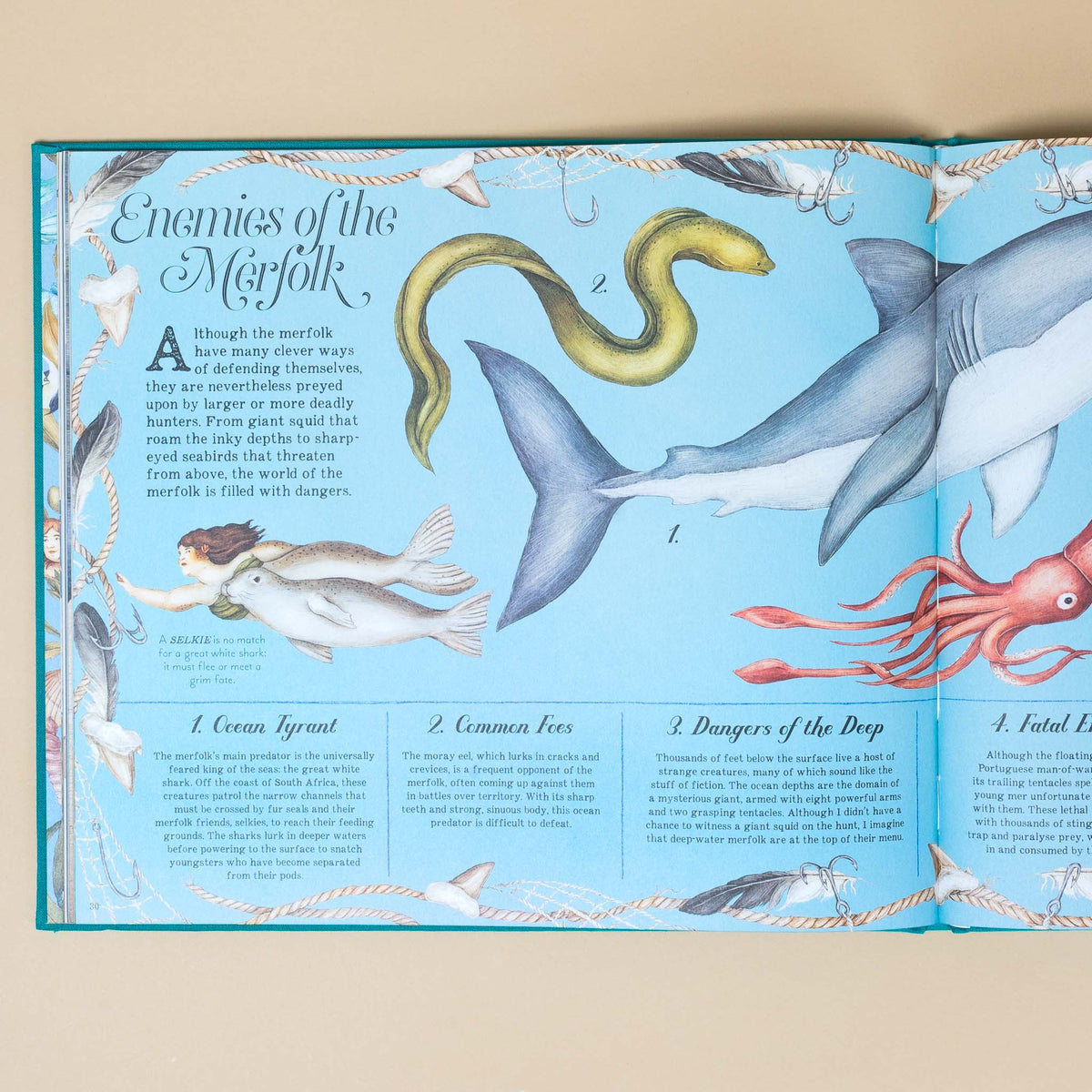 A Natural History of Mermaids Book – pucciManuli