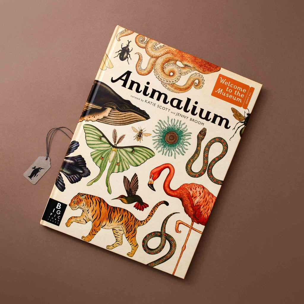 Animalium Book