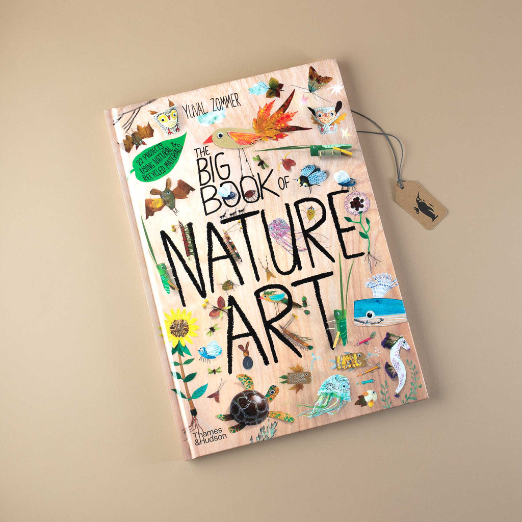 Big Book of Nature Art
