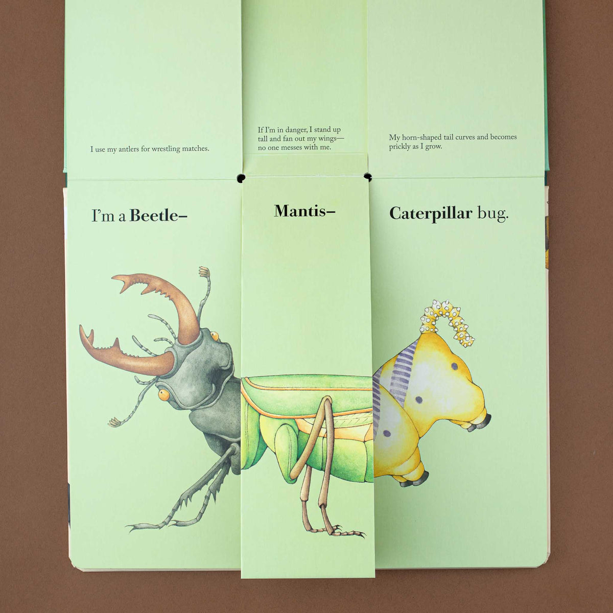 Build-a-Bug Flip & Flop Book – pucciManuli