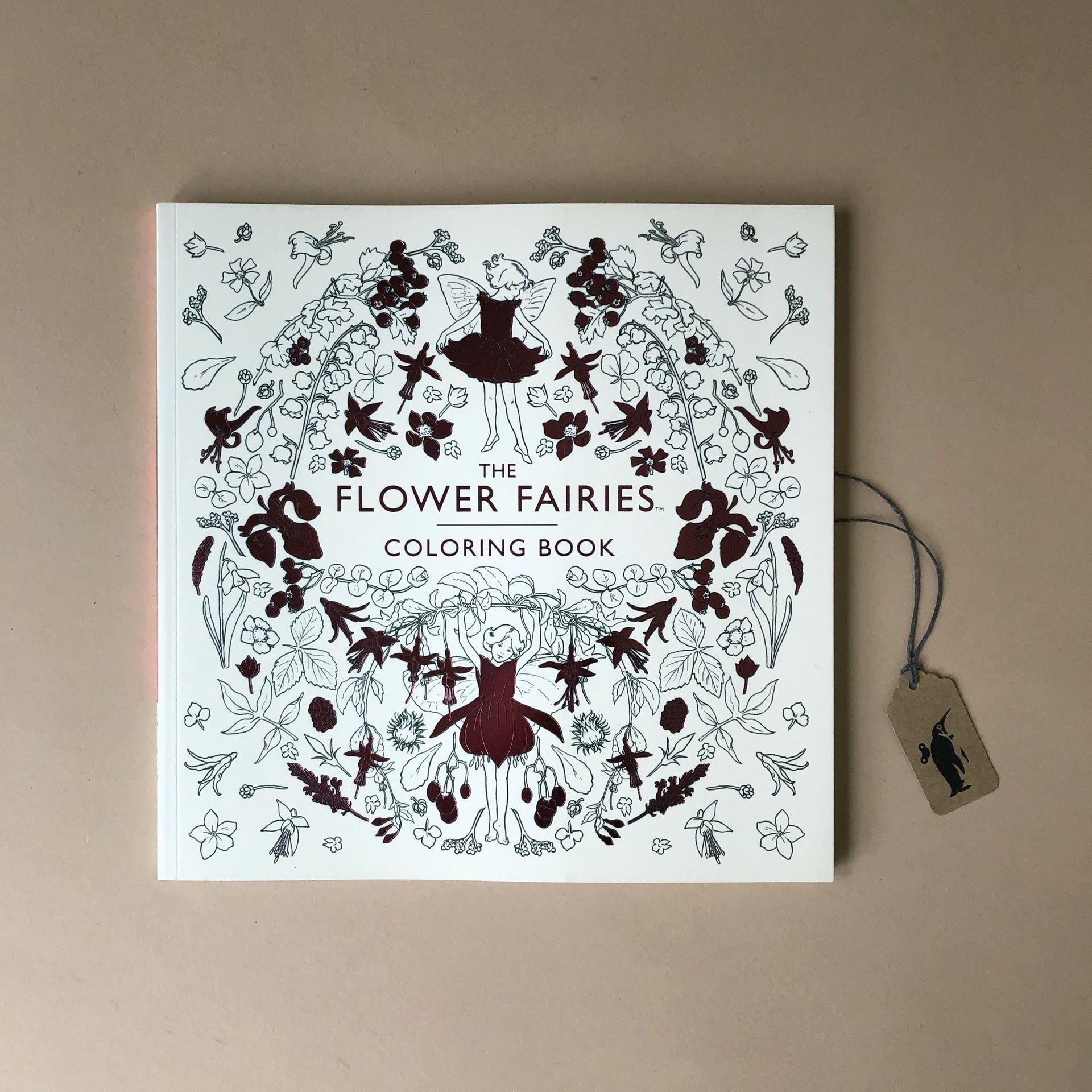 flower fairies coloring book