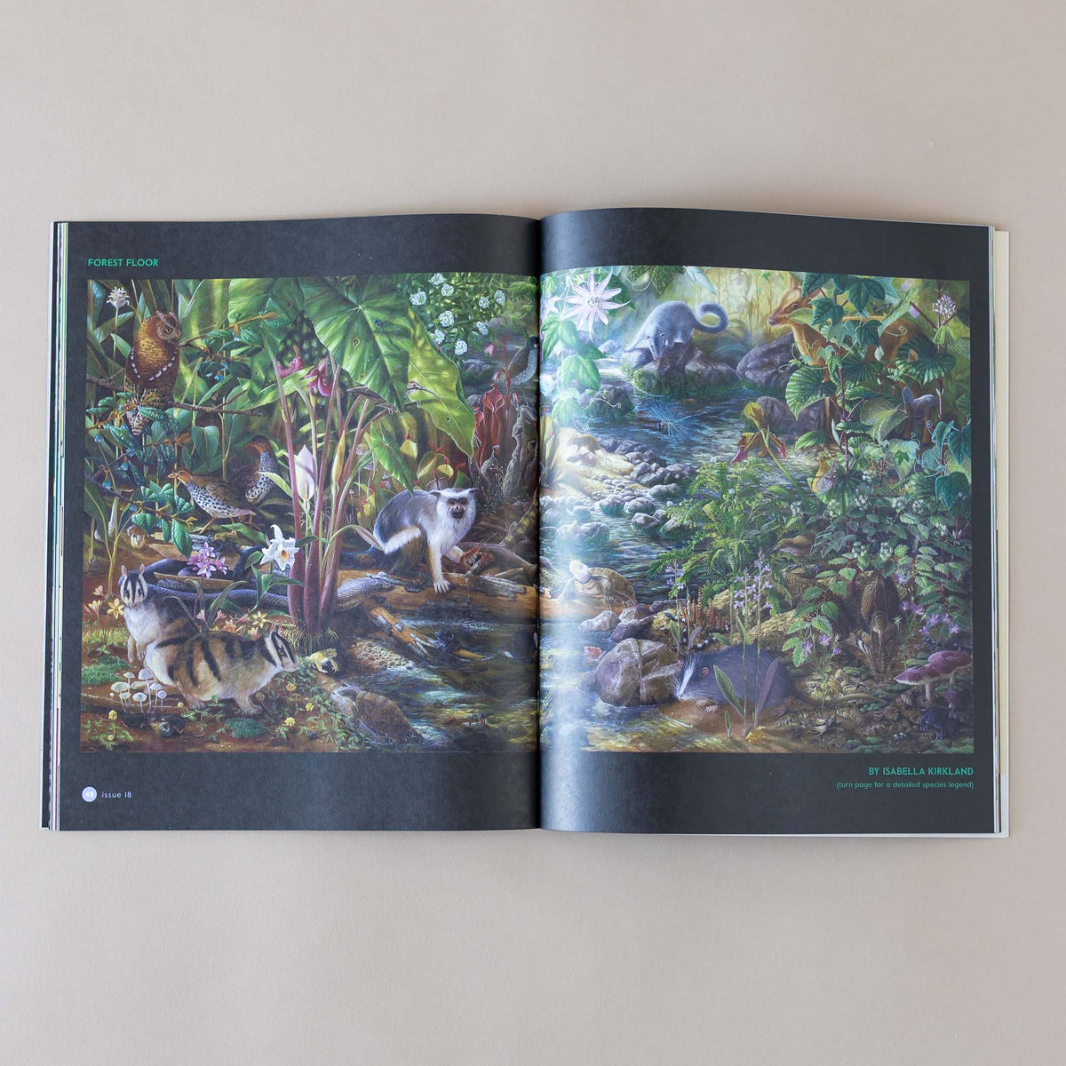Illustoria Magazine | Issue 18 - Rainforest – pucciManuli