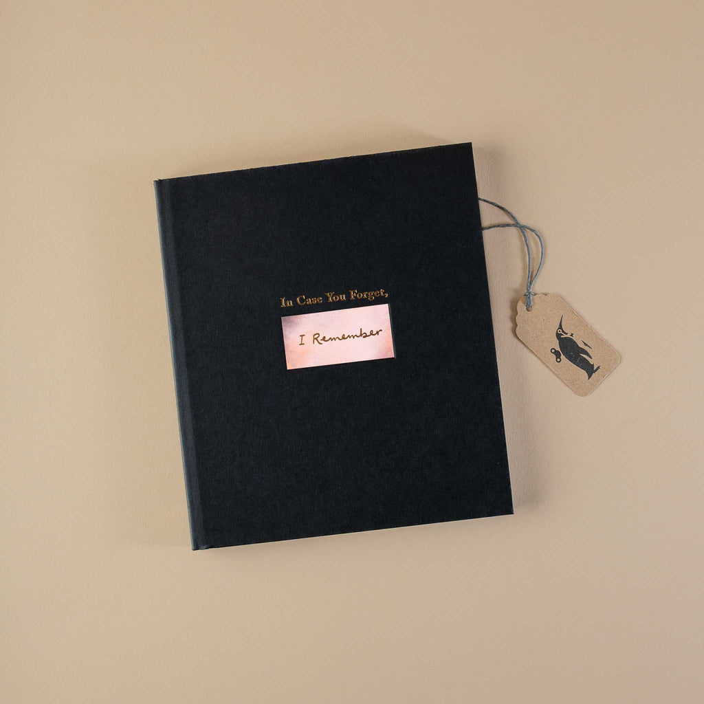 In Case You Forget, I Remember Book