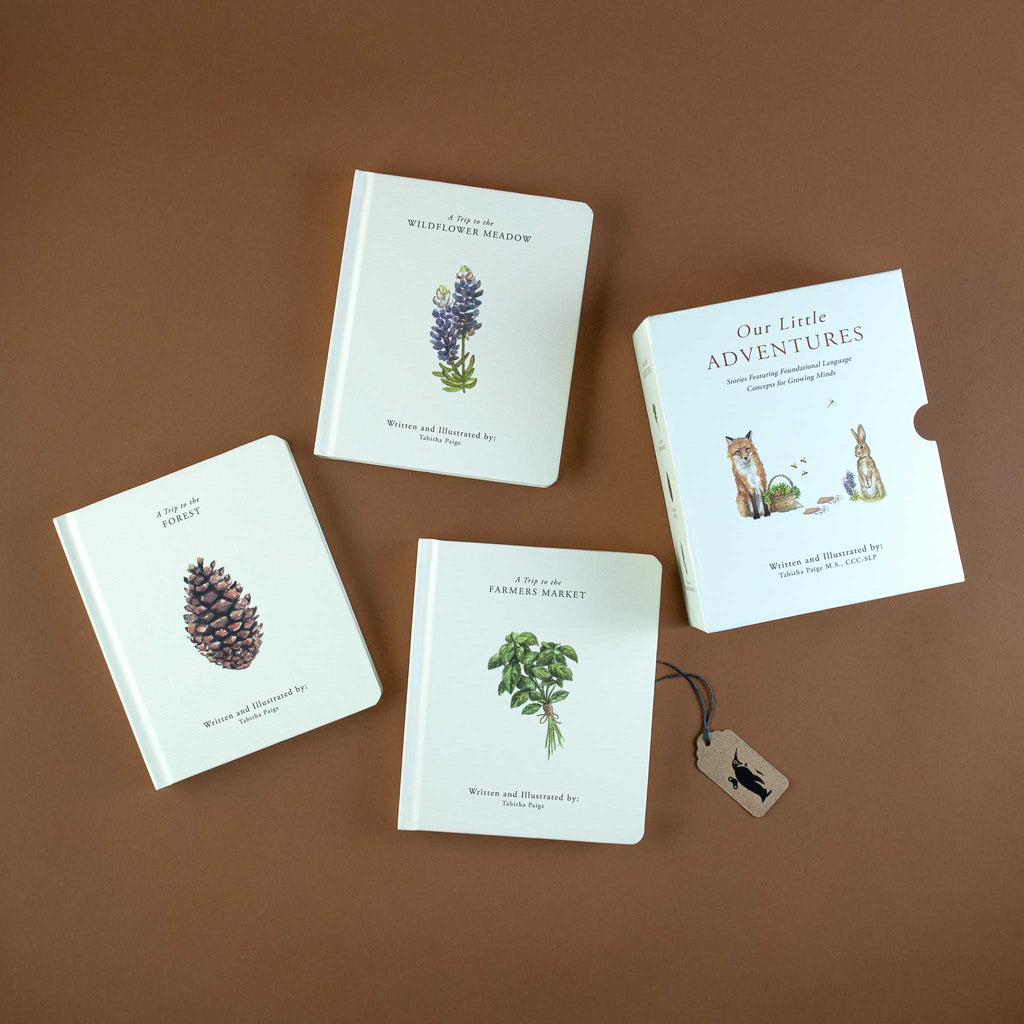 Our Little Adventures Board Book Box Set