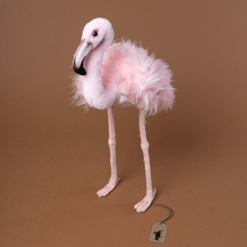 Little Pink Flamingo