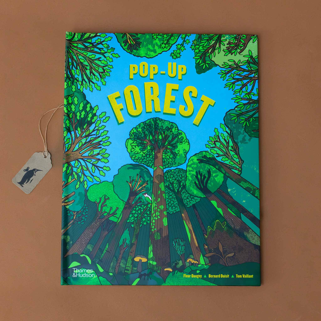 Pop-Up Forest Book