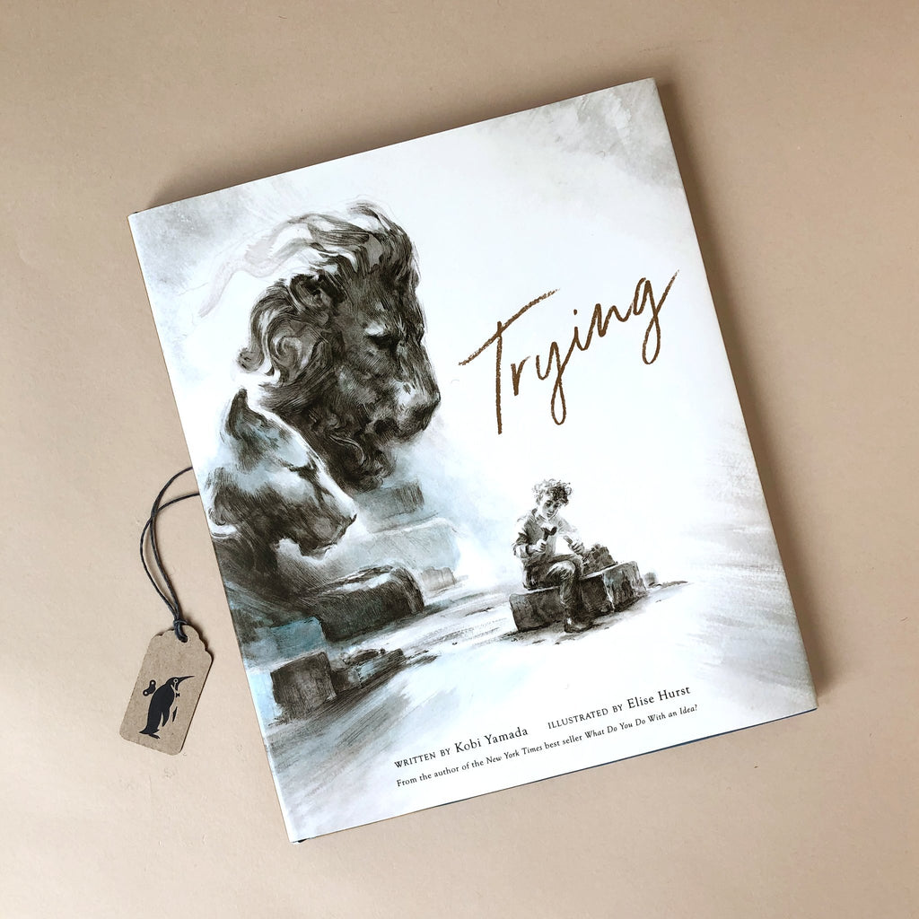 Trying Book